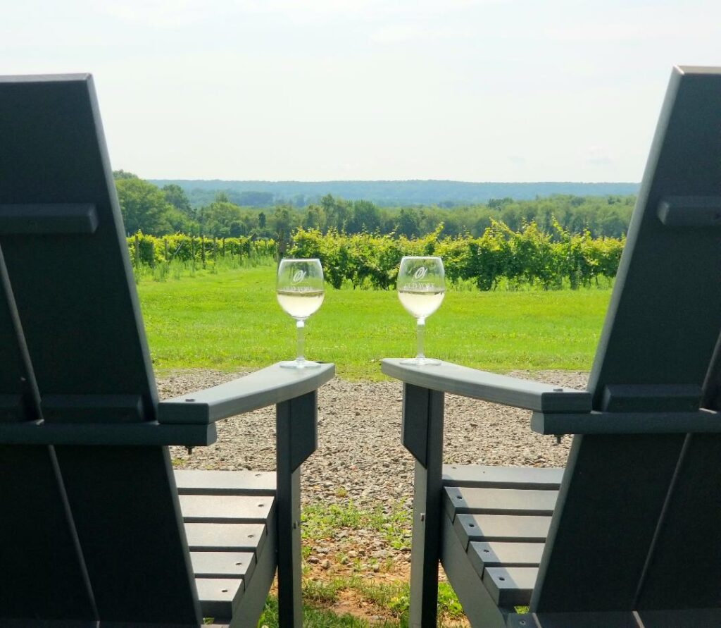 Winery Experiences - Old York Cellars Winery & Vineyard