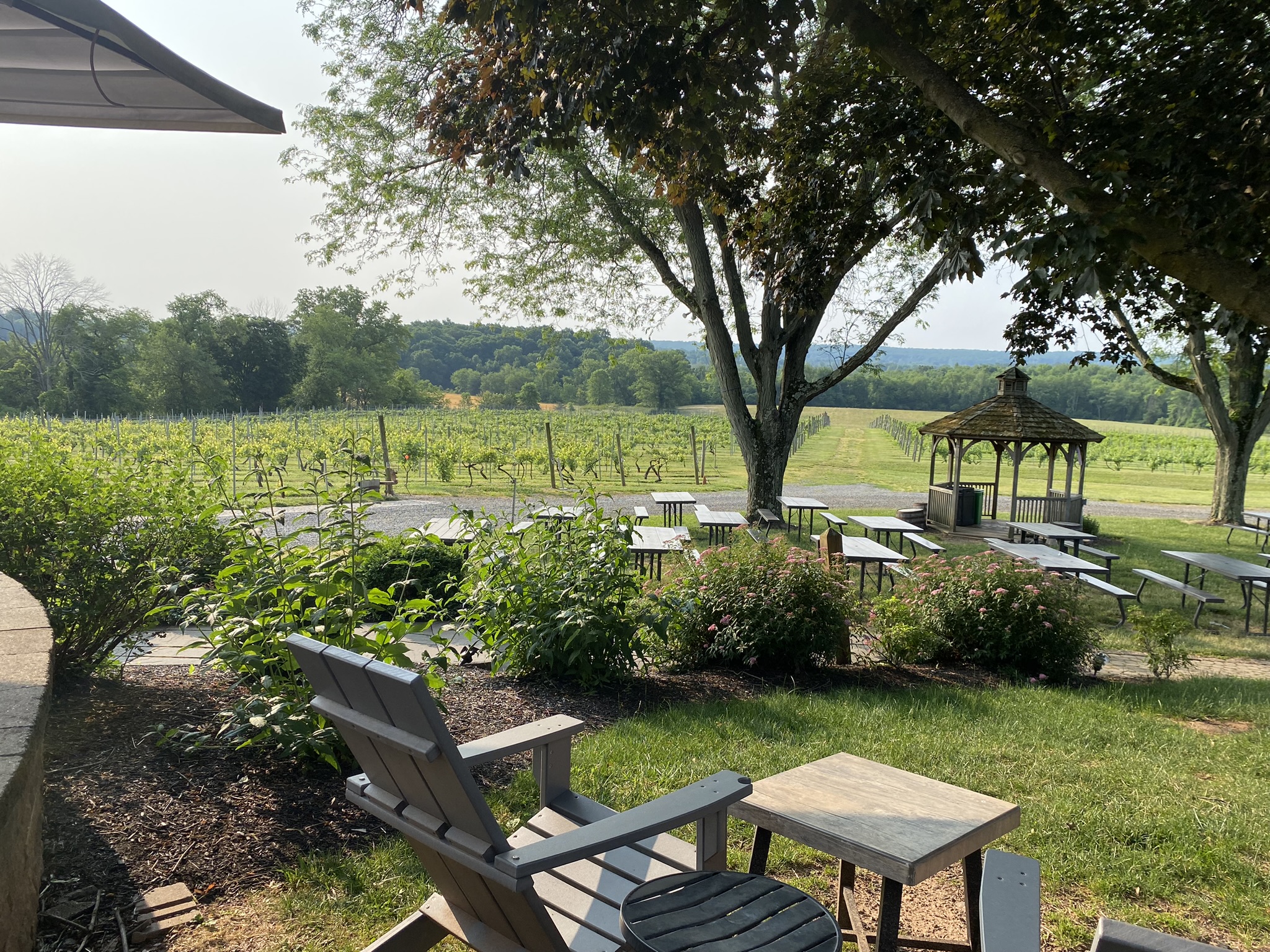 Old York Cellars Makes the List of 11 Best Wineries In New Jersey To ...